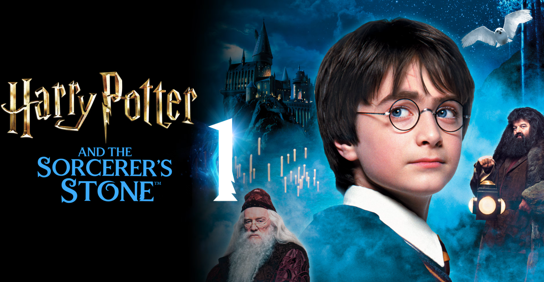 Best Harry Potter Diamond Painting Ideas for Potterheads – Caydo