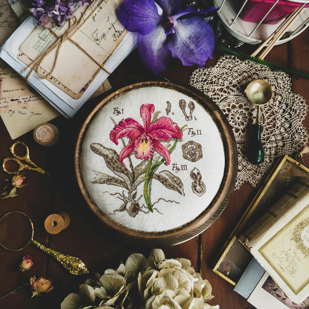 Caydo, You Can Do It