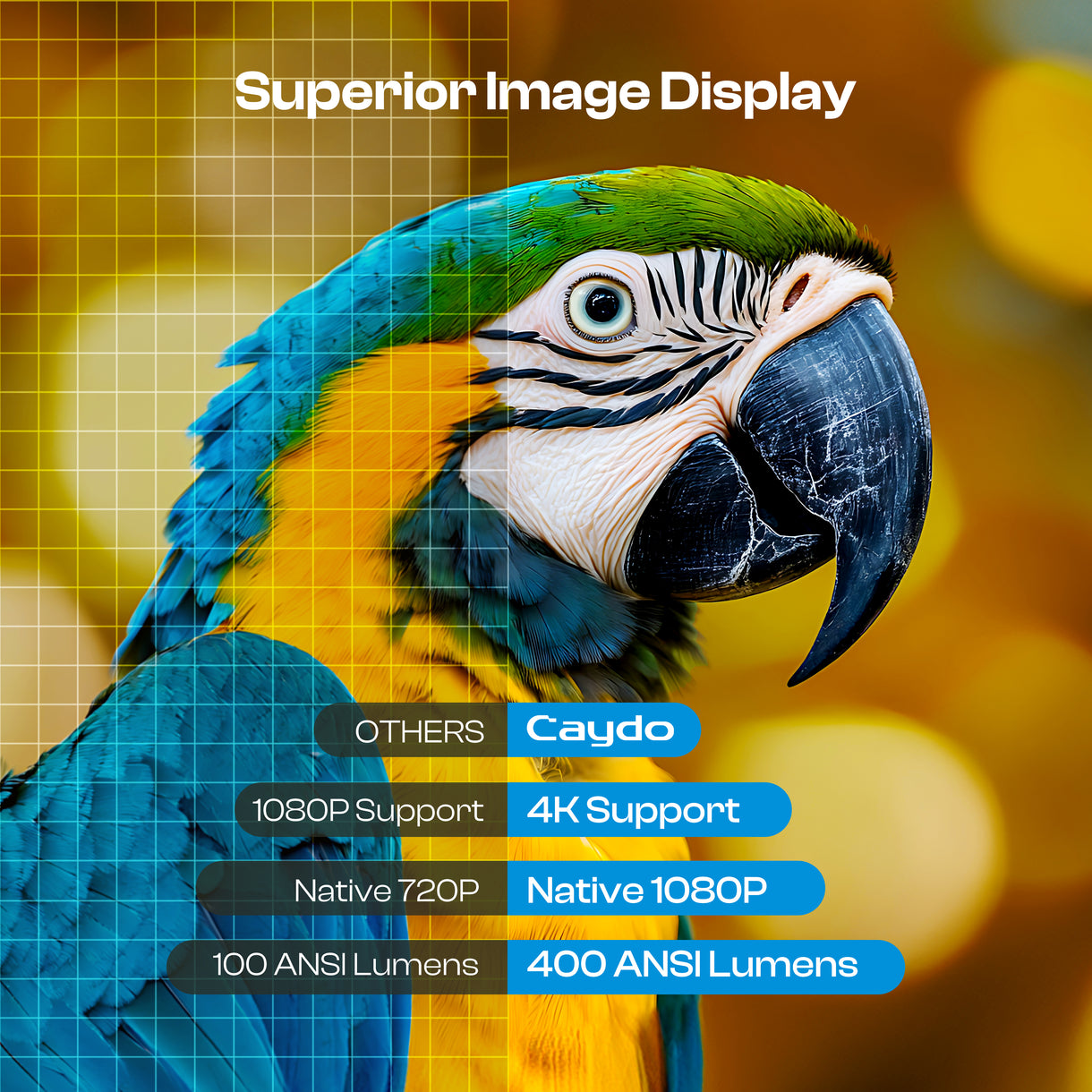 Caydo P3 Art Projector, Drawing Projector with Exclusive Art-Drawing ...